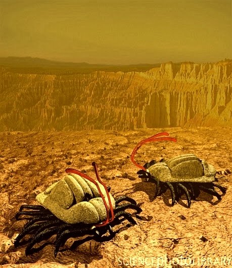 67 Not Out: A Universe Full Of Strange Looking Aliens