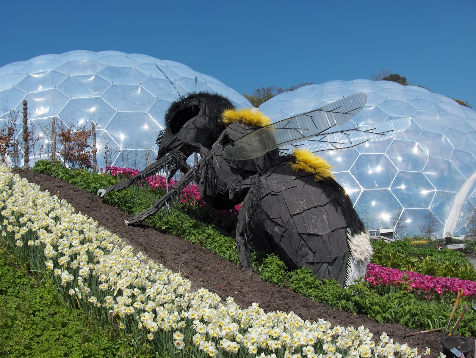 67 Not Out: In Search Of The Birth Of Spirits At Eden