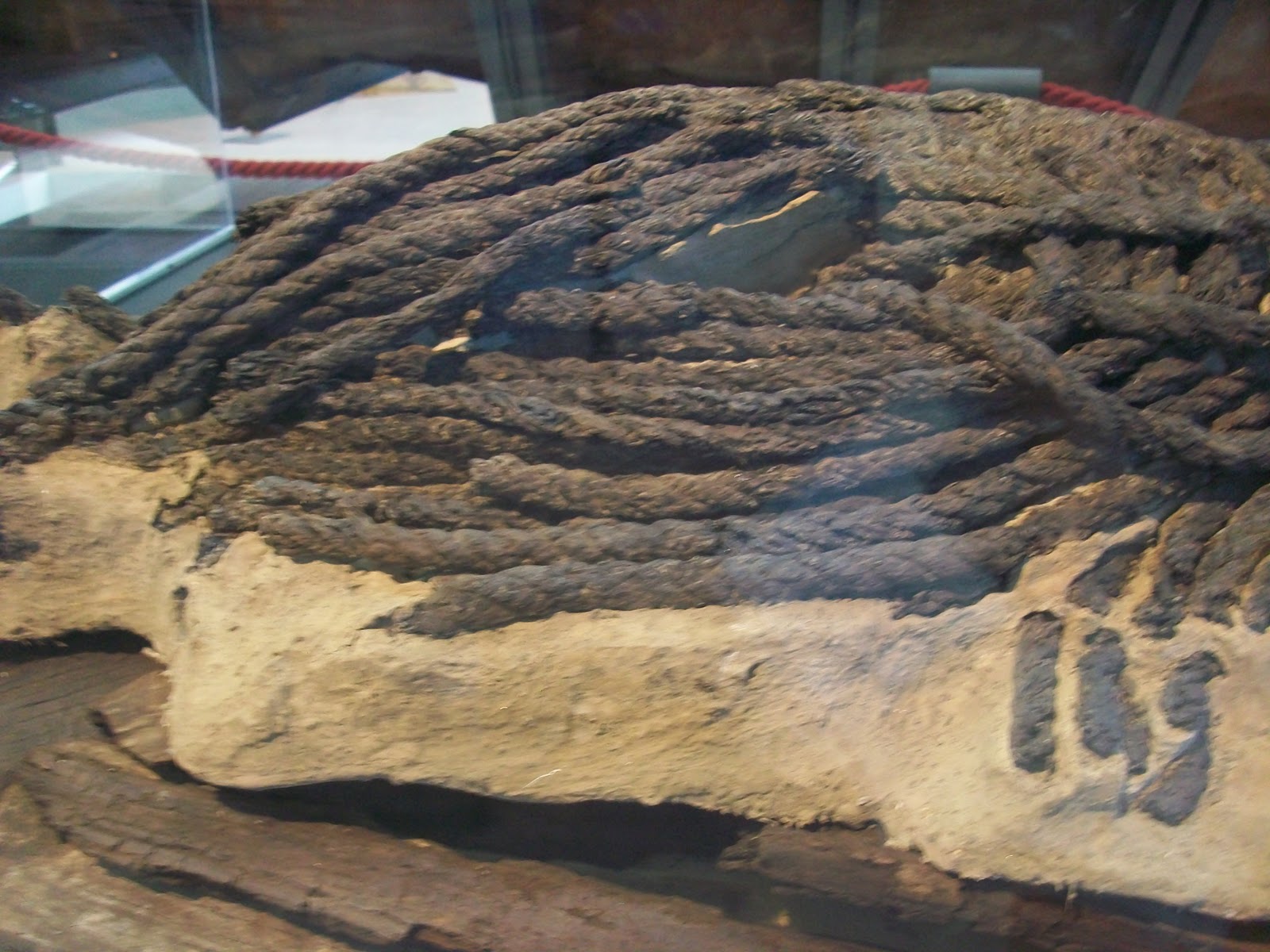 Rope found in Herculaneum | Pompeii, Herculaneum, Ancient rome