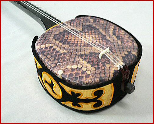 topicosdojapao: Sanshin de Okinawa:comprei um!