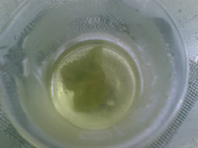 Science For U: STEPS TO TEST PRESENCE OF STARCH IN THE LEAF