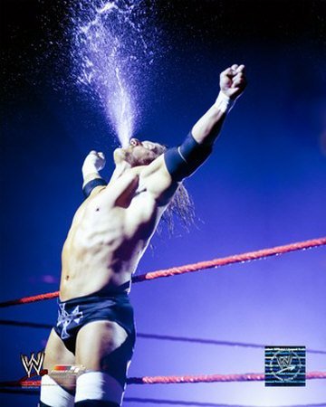 Triple H The King Of Kings wallpapers HHH ~ Karthik's Blog