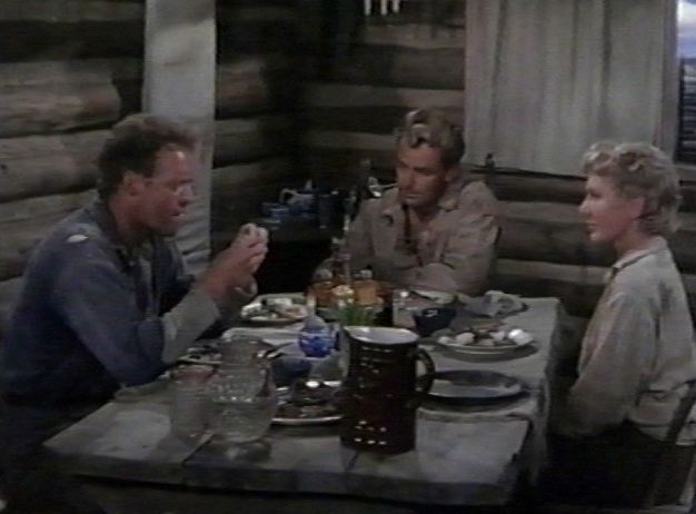 Another Old Movie Blog: Shane - 1953