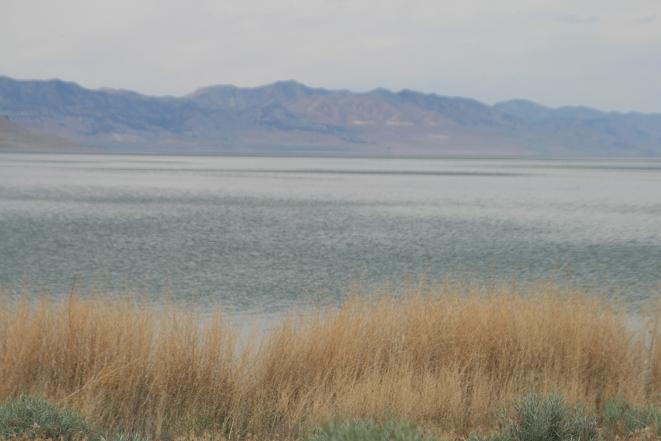 The Wanderers: Great Salt Lake's Island