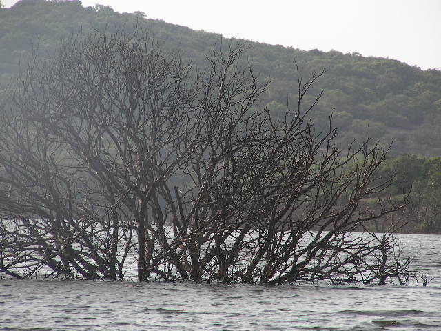 Pune-Mahabaleshwar-PratapGarh