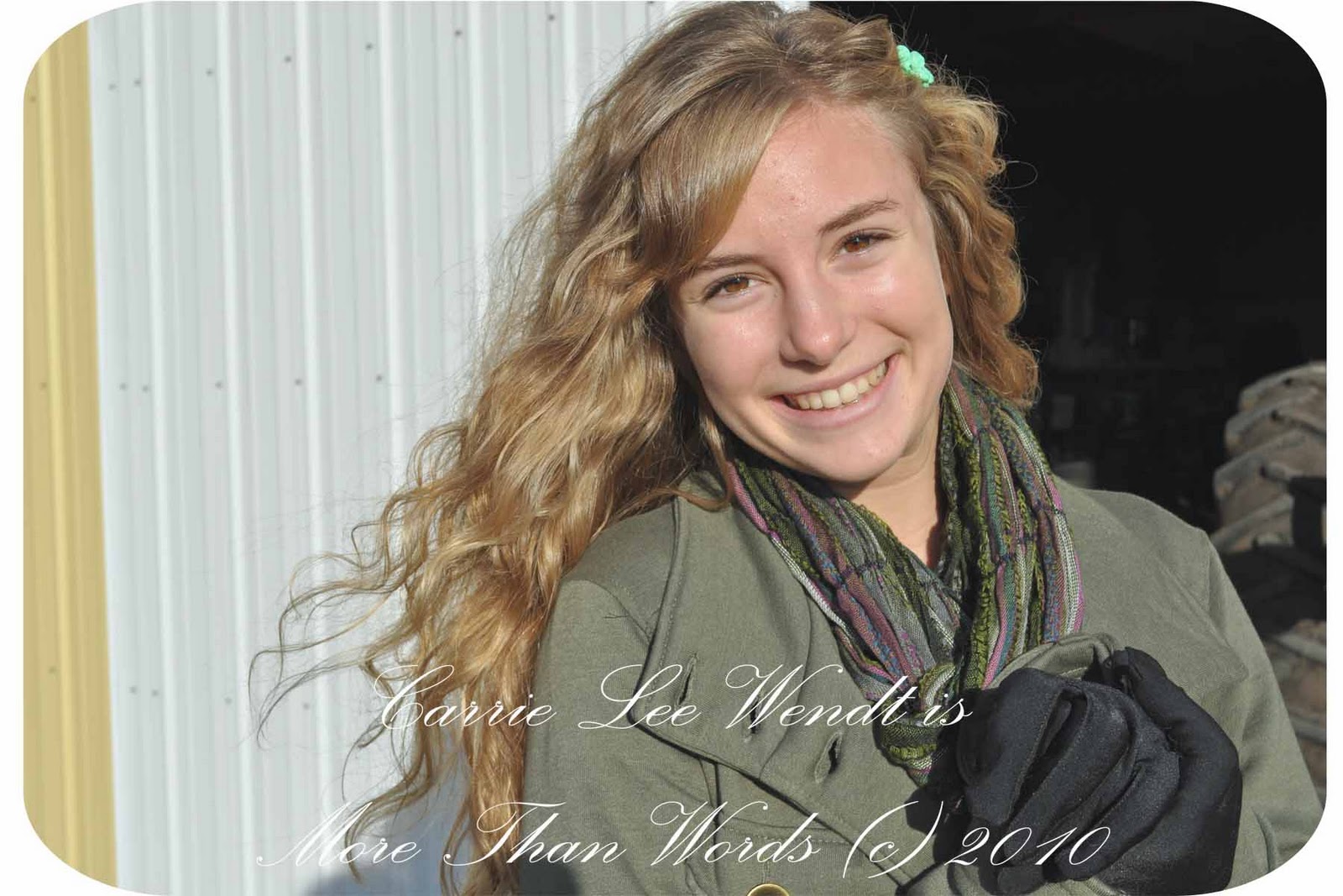 Carrie Lee Wendt is More Than Words.....: Autumn (sigh)...................