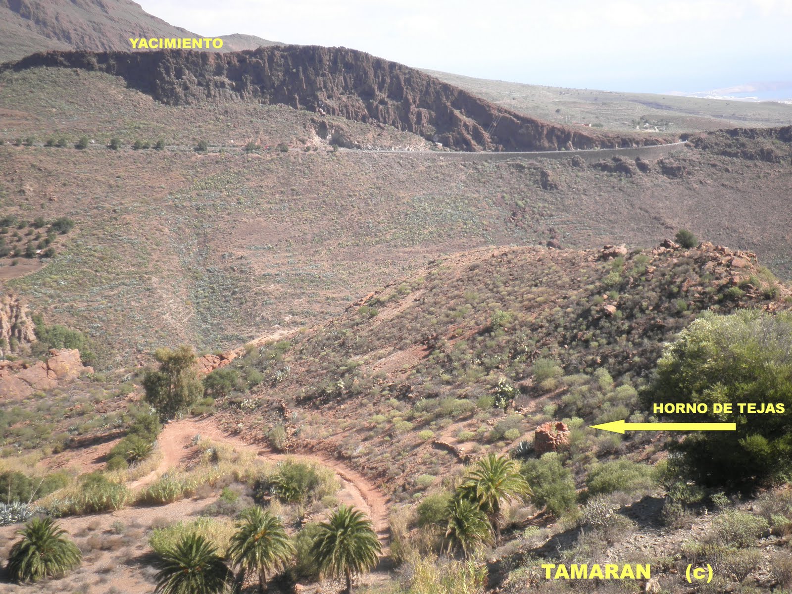 TAMARAN: TEMISAS DE TAMARAN - GRAN CANARIA