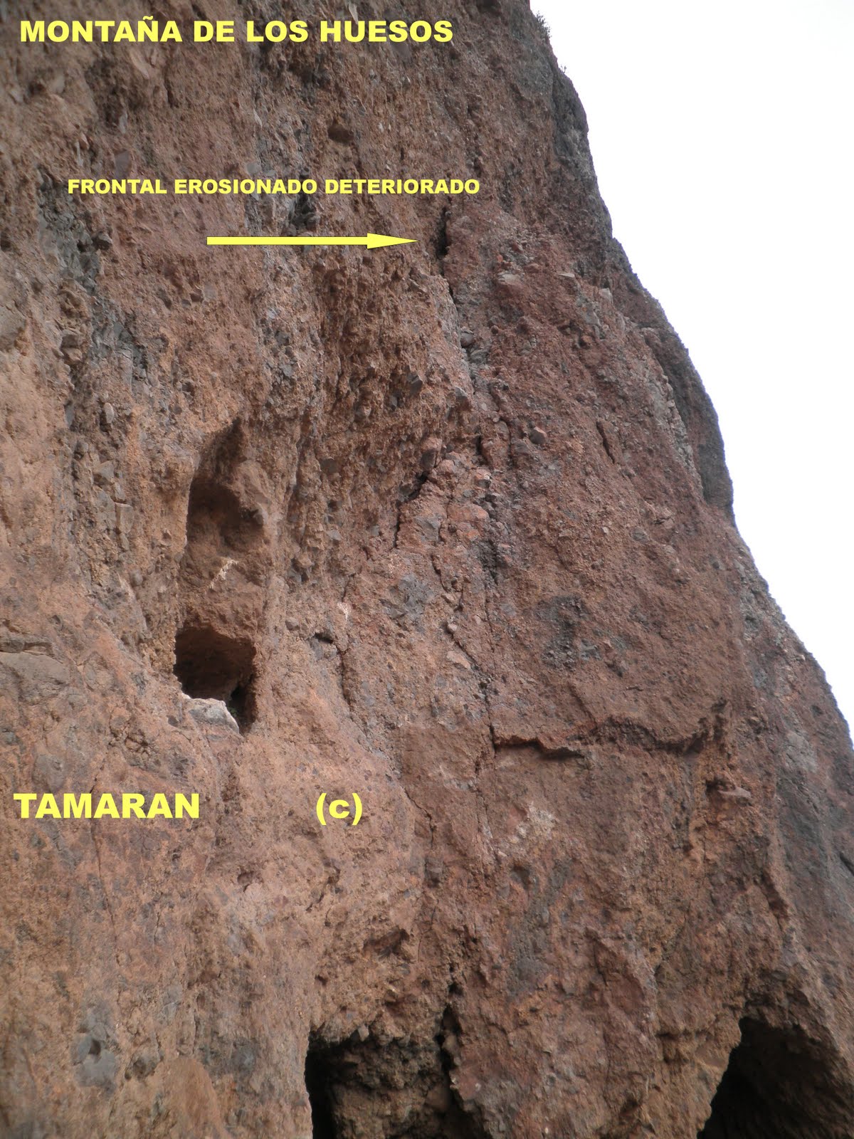 TAMARAN: TAIDIA DE TAMARAN - TIRAJANA