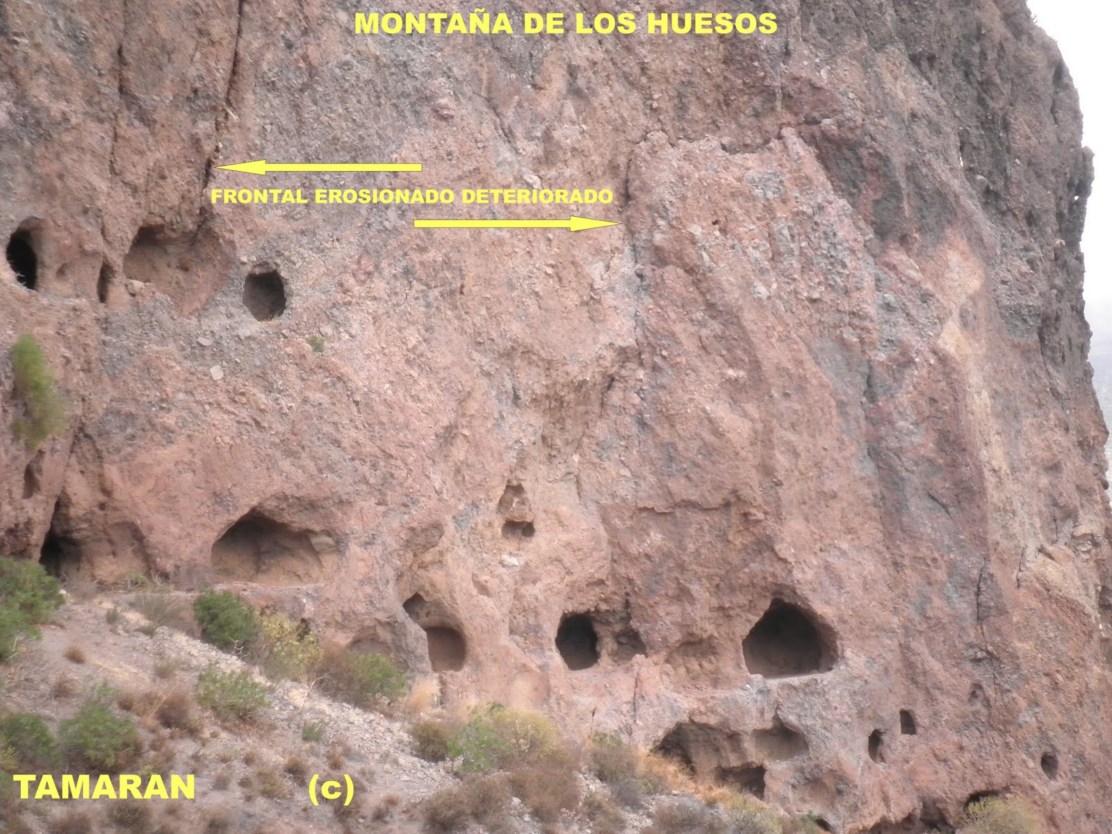 TAMARAN: TAIDIA DE TAMARAN - TIRAJANA