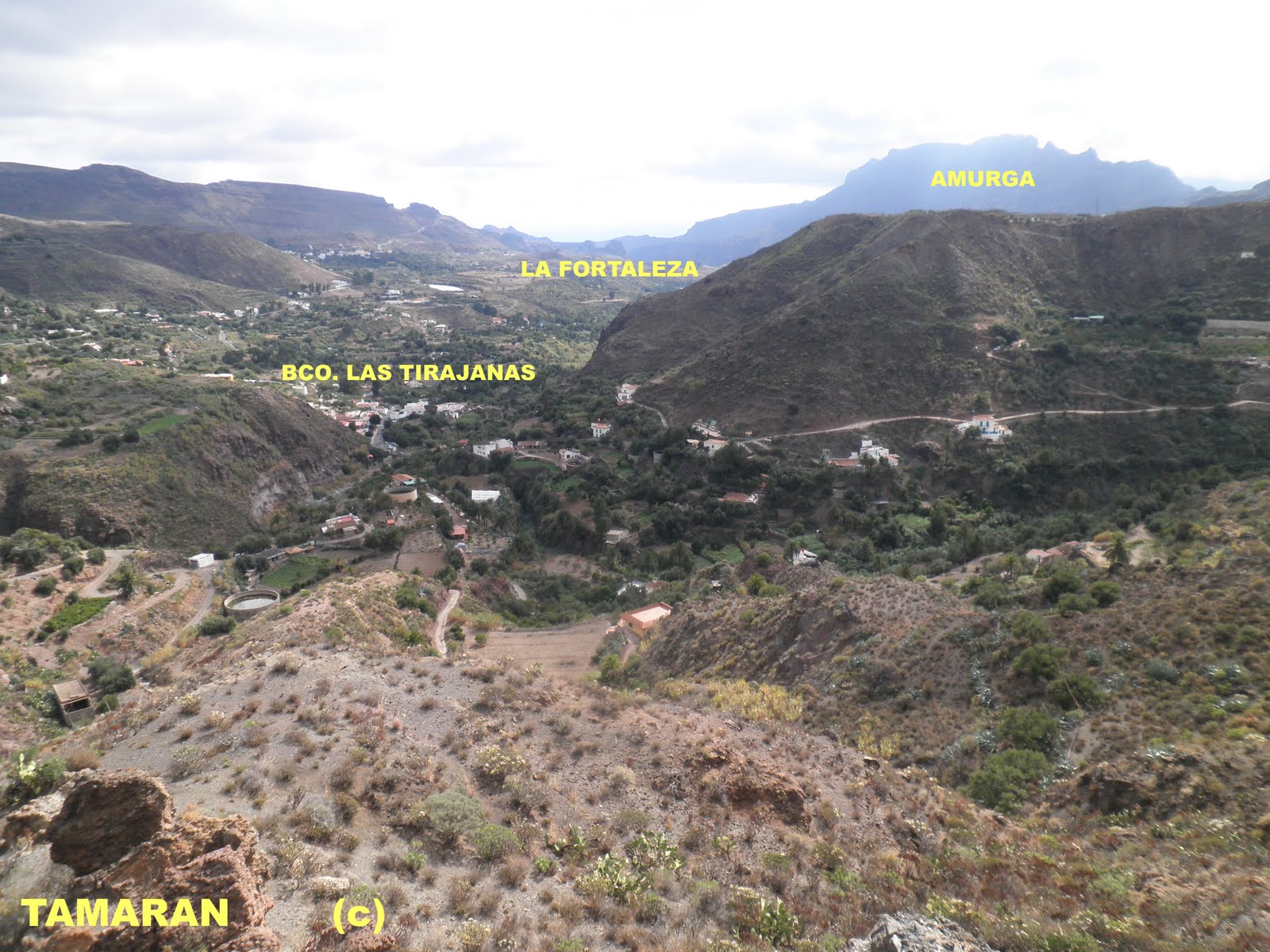 TAMARAN: TAIDIA DE TAMARAN - TIRAJANA