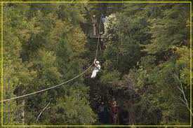 turismo en pucon: canopy pucon