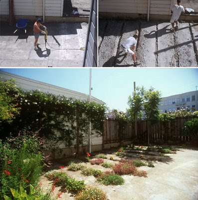 Languid*Lovely: crack garden