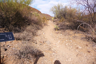 Sunnyarizona- walks and hikes: Hiking the Ironwood trail, and Picture ...