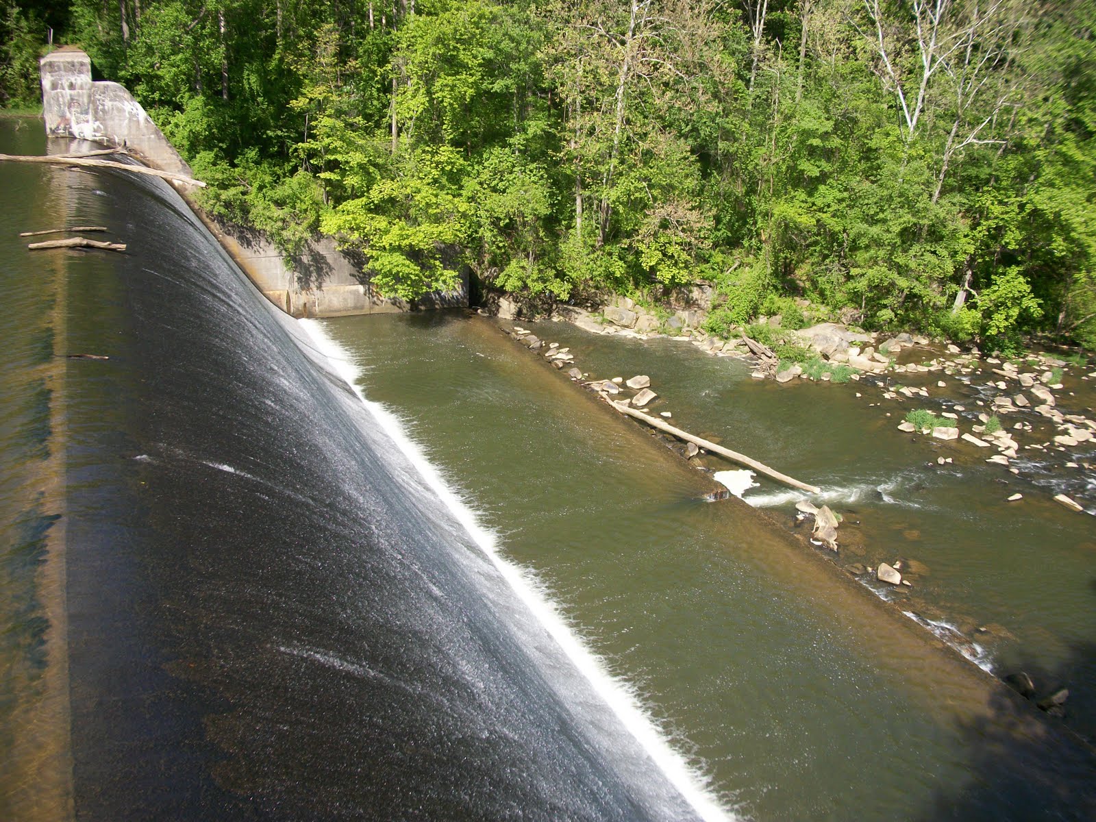 Our Fight!: Atkinson Dam