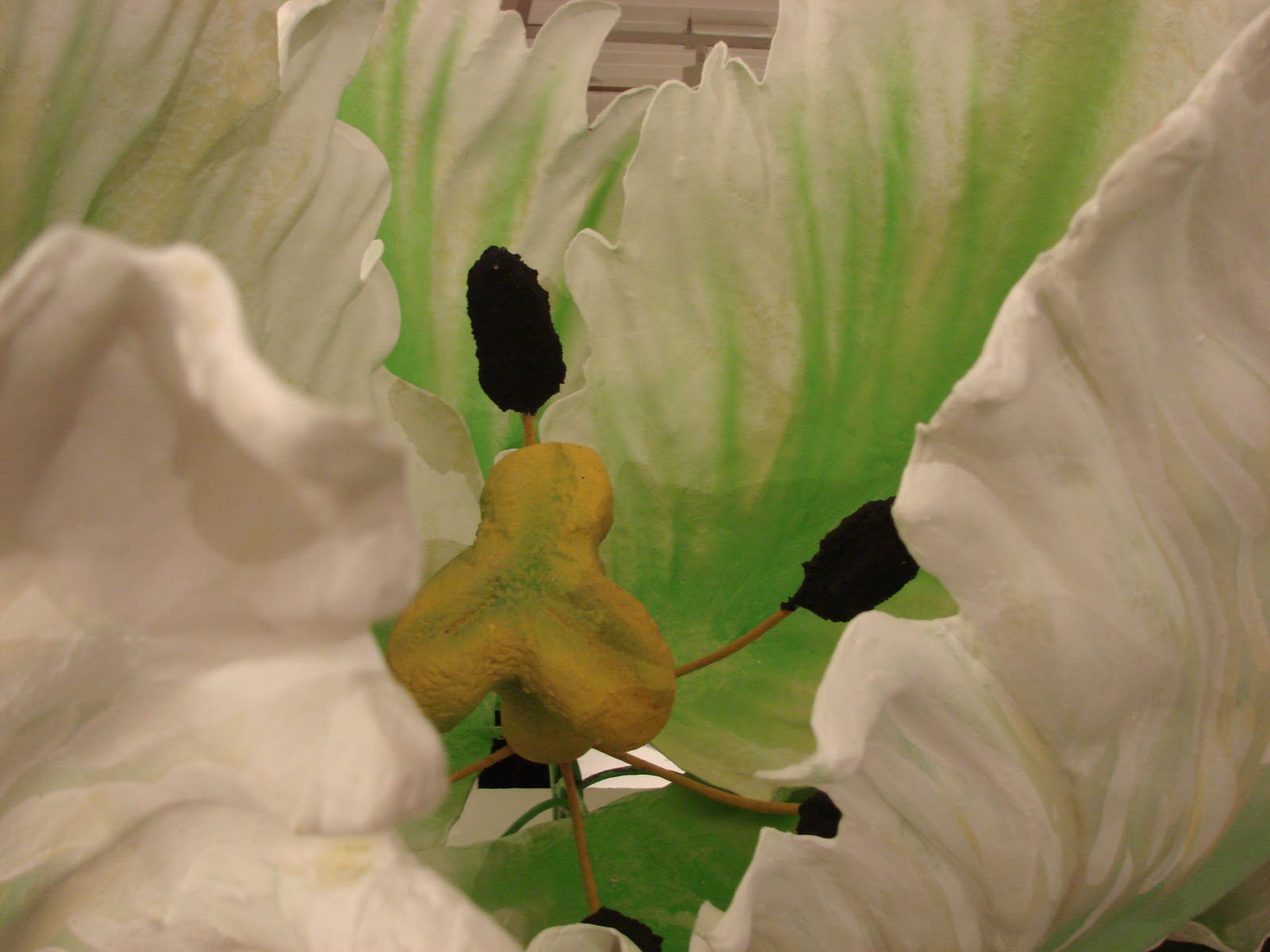 The Fashion Scout: Say it with Flowers: SHOWstudio Review