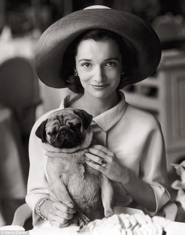 Style Redux: Dogs in Vogue