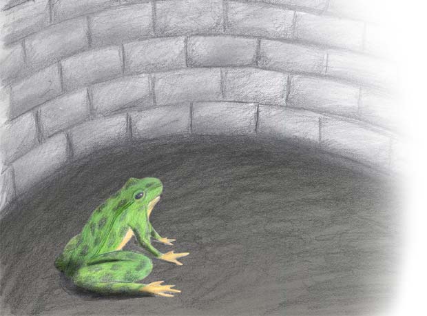 Tea with AK71: A frog in a well. | A Singaporean Stocks Investor (ASSI)