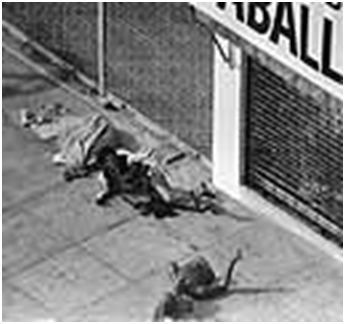 Mis Ideas Recurrentes (por el Profesor José L. Godoy): El "Limazo ...