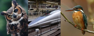 Soob: The Owl, the King Fisher and the Shinkansen