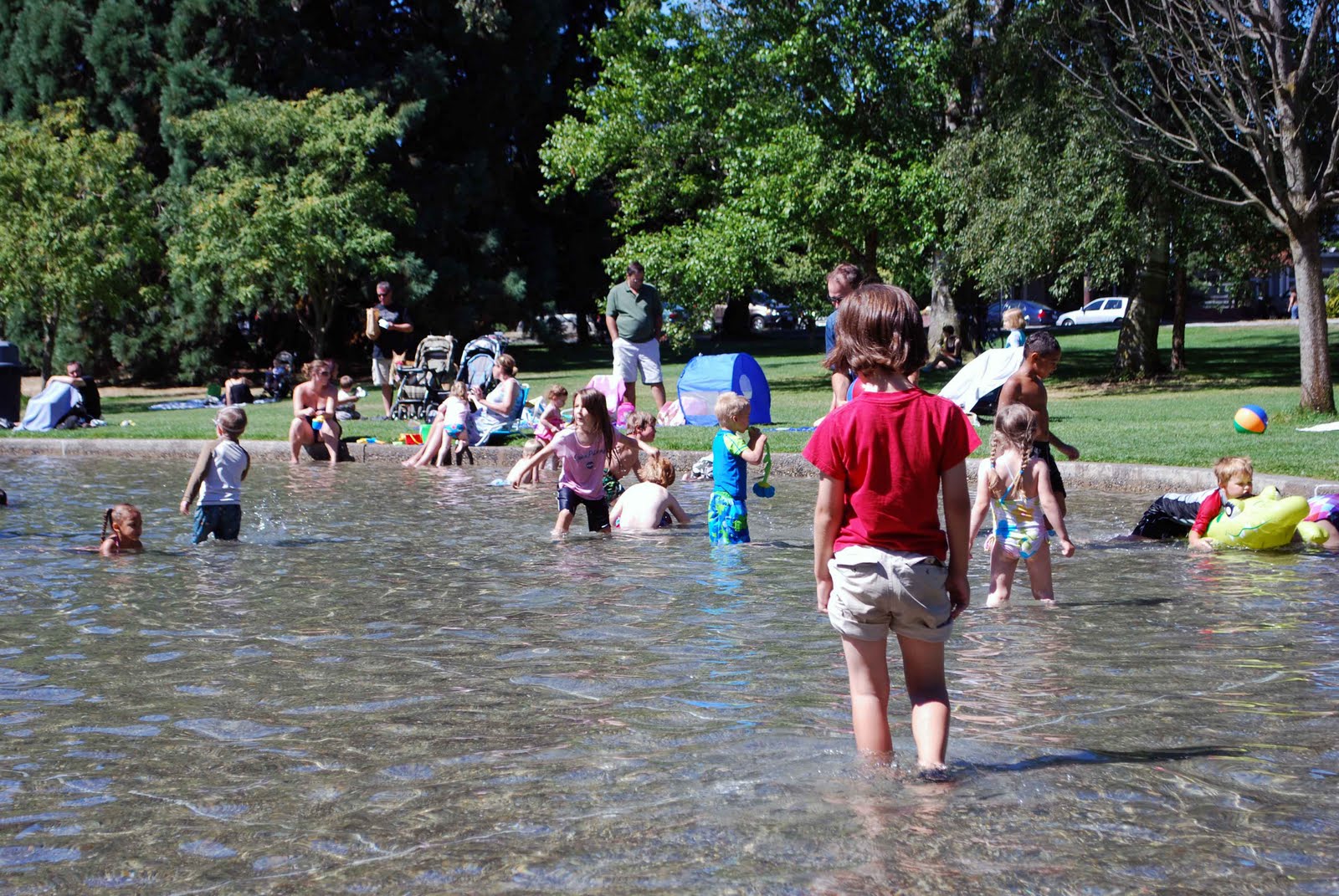 Magnolia Preparatory Academy: 8/22/10 - 8/29/10