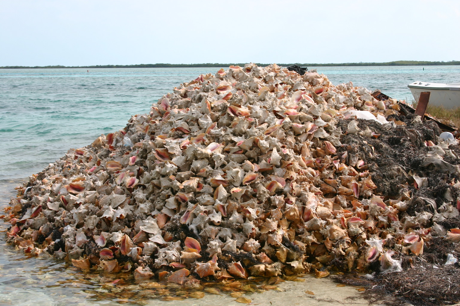 The Querrey's QUEST: 1-10-2011 BIMINI'S BLUE WATER MARINA