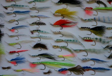 New "fly" - Anti-wobbler | List MUŠIČAR