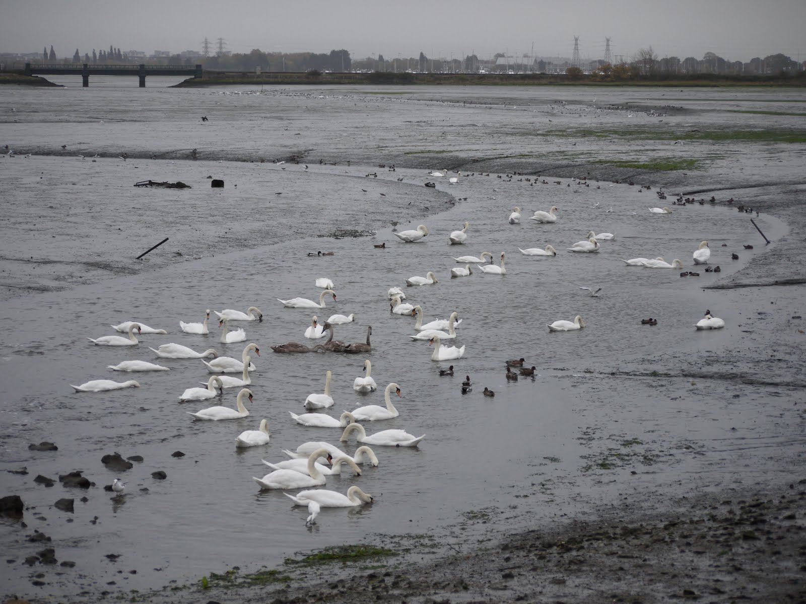 Walking in the country: Turlin Moor to Poole Quay