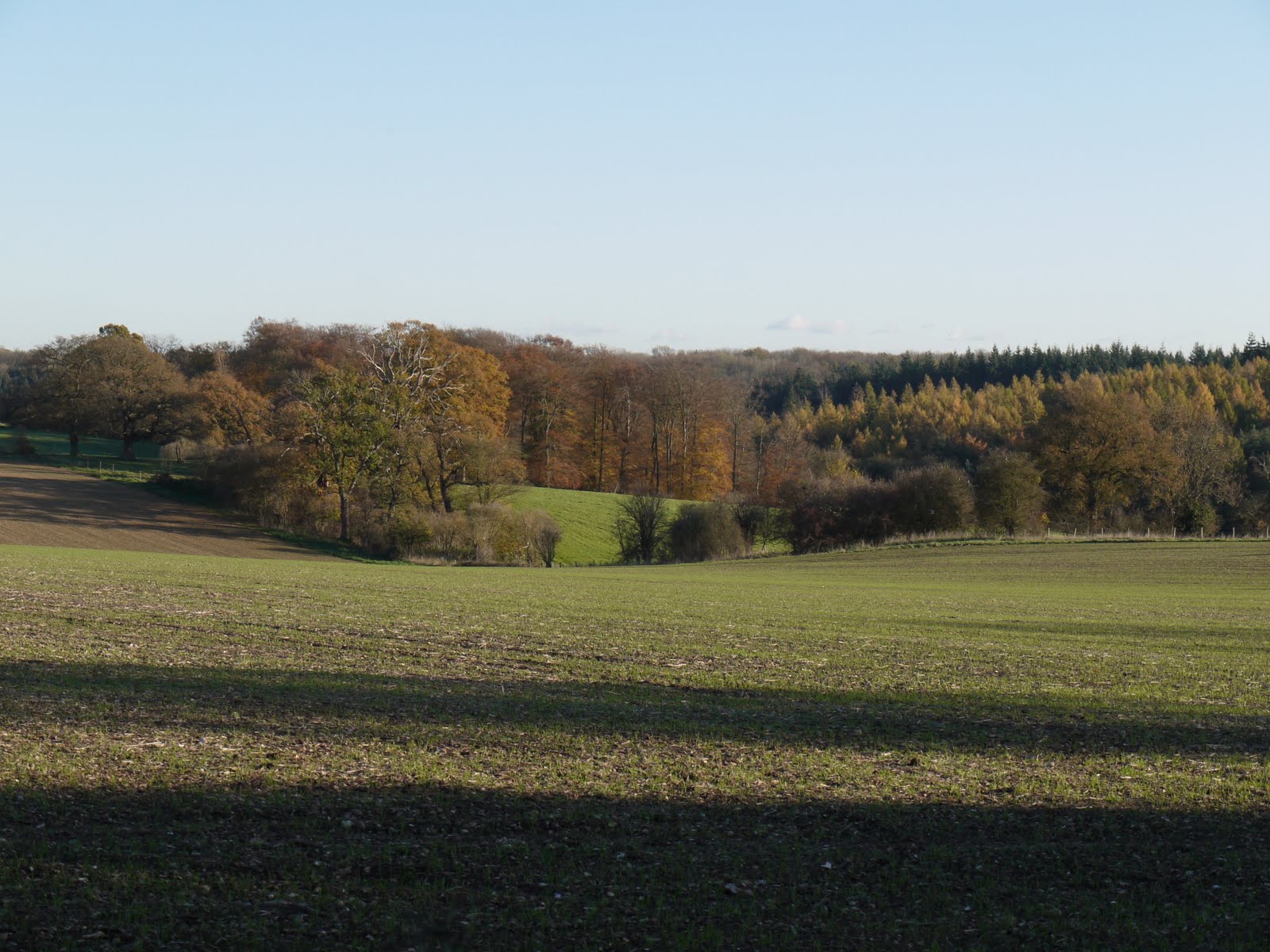 Walking in the country: Sonning Common and Rotherfield Greys
