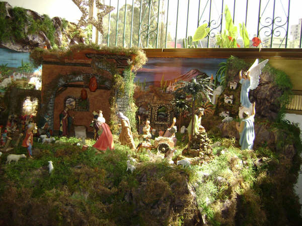 Somos Margarita Verde: Campaña contra la extracción de musgos naturales ...