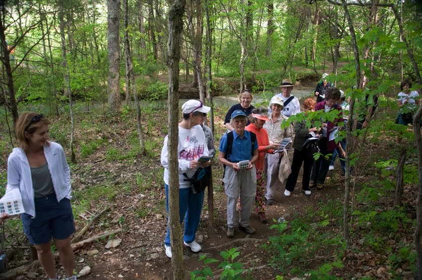Nature Reporters: Haw Ridge Earth Day hike