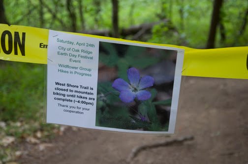 Nature Reporters: Haw Ridge Earth Day hike