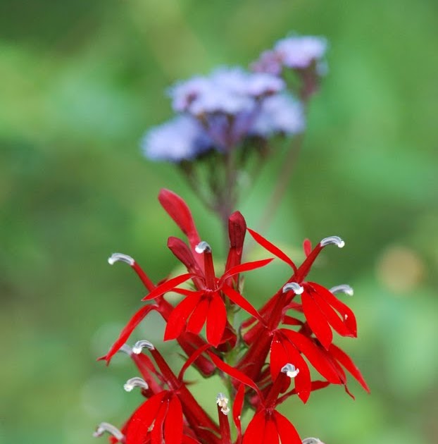 Nature Reporters: A new friend and some exciting finds