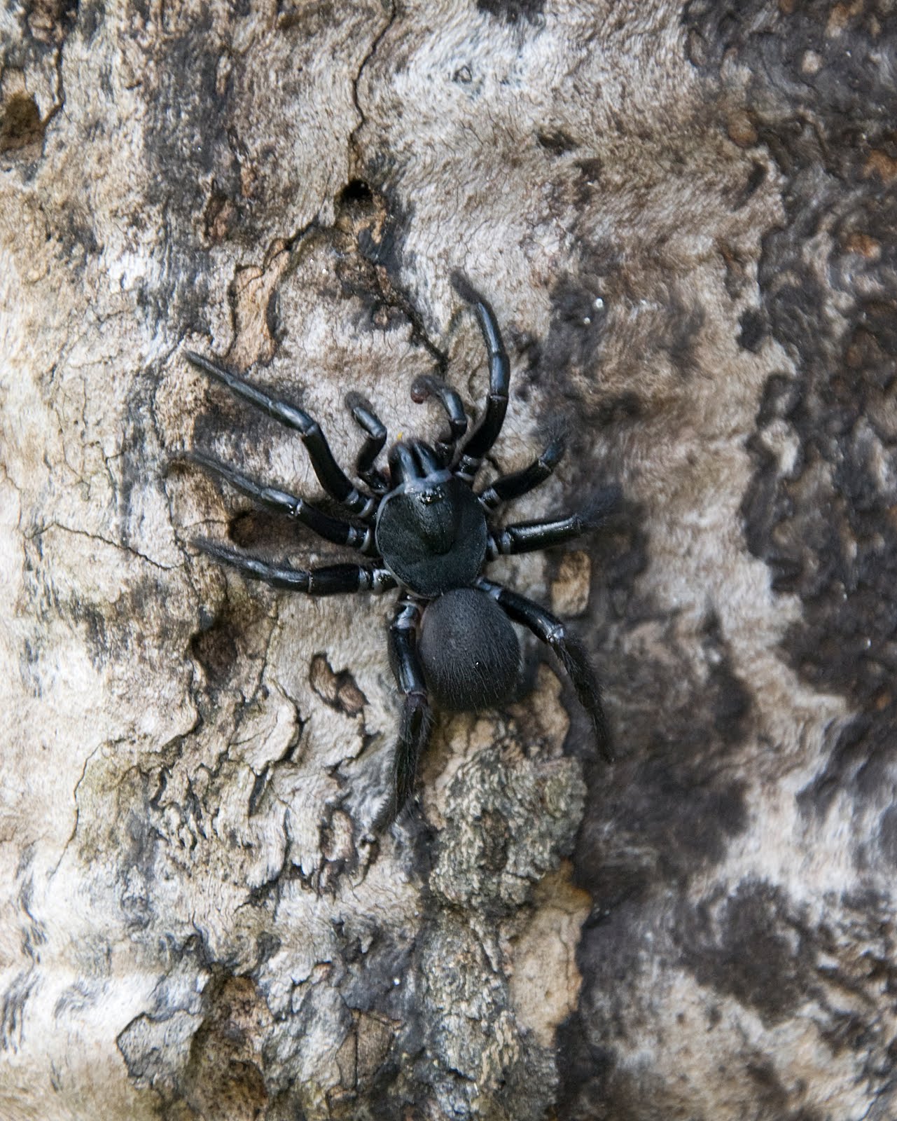 Nature Reporters: Science Camp "goodies"