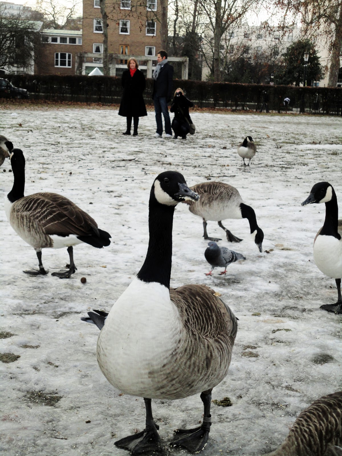 The life of a textiles teacher: December 2010