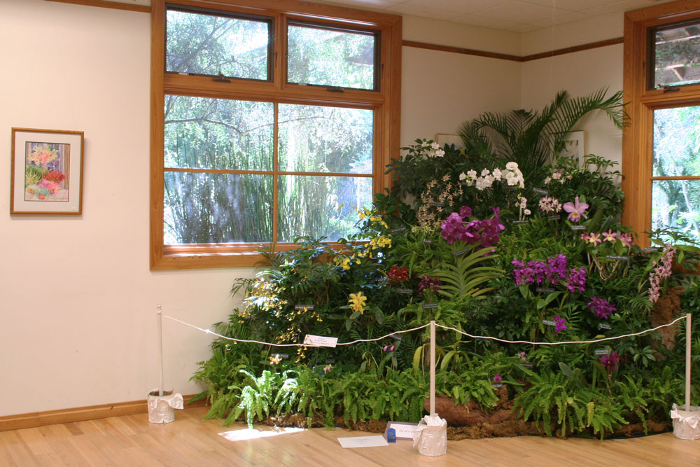 The Rainforest Garden: Epiphyte Inspiration From Kanapaha