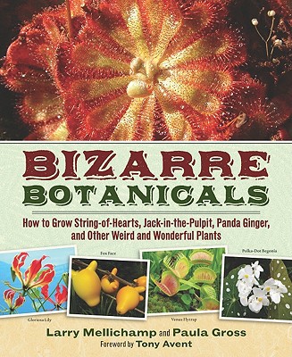 The Rainforest Garden: Tropical Gardening Books