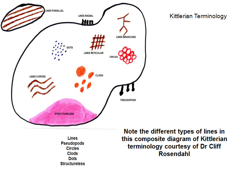 Dermoscopy Made Simple: Lines