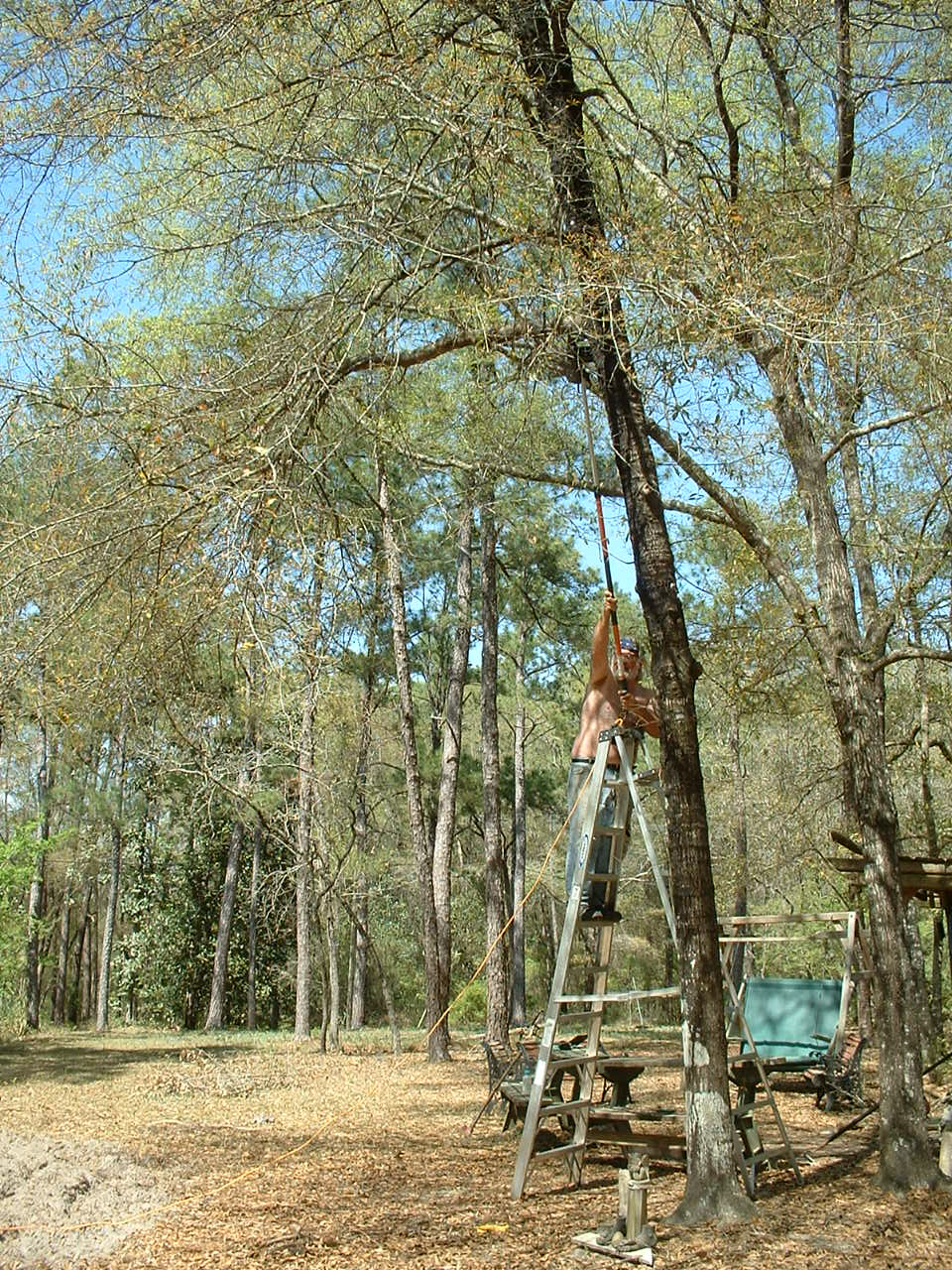 News From The Swamp: Making Room for Butterflies