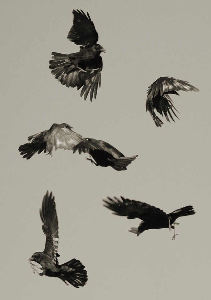 HallReady: The art of display. Ideas on what to exhibit and how to do ...