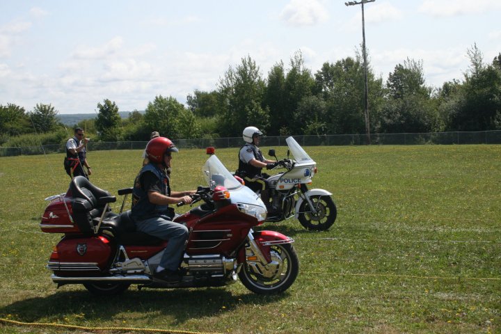 Gangsters Out Blog: The Fall of Bacchus