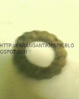 BARANG ANTIK & MISTIK: CEMARA BABI TUNGGAL GELUNG15 BIJI