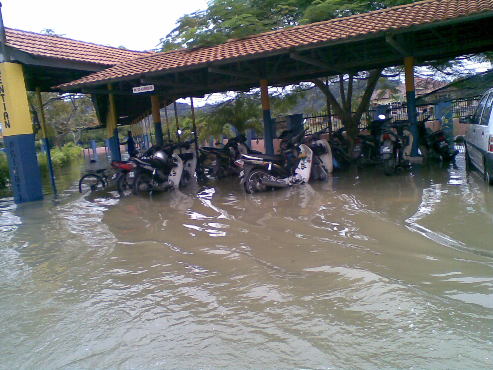 Aku Ke Ini | Blog Pandangan Diri: SEKITAR BANJIR DI PERLIS (GAMBAR) Part 1