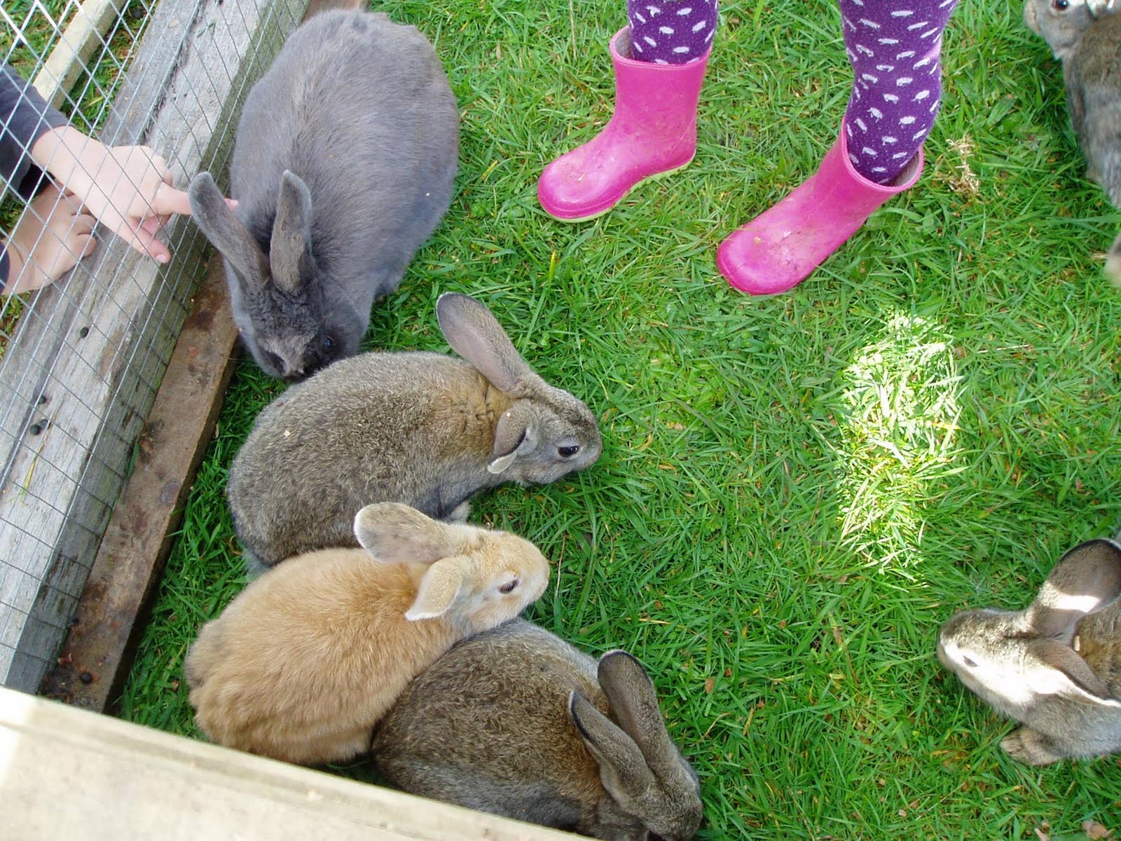 Charlotte Scott - Textile Artist: Population Explosion