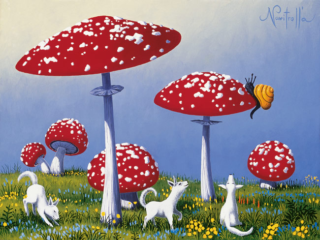 novamelina: Navitrolla