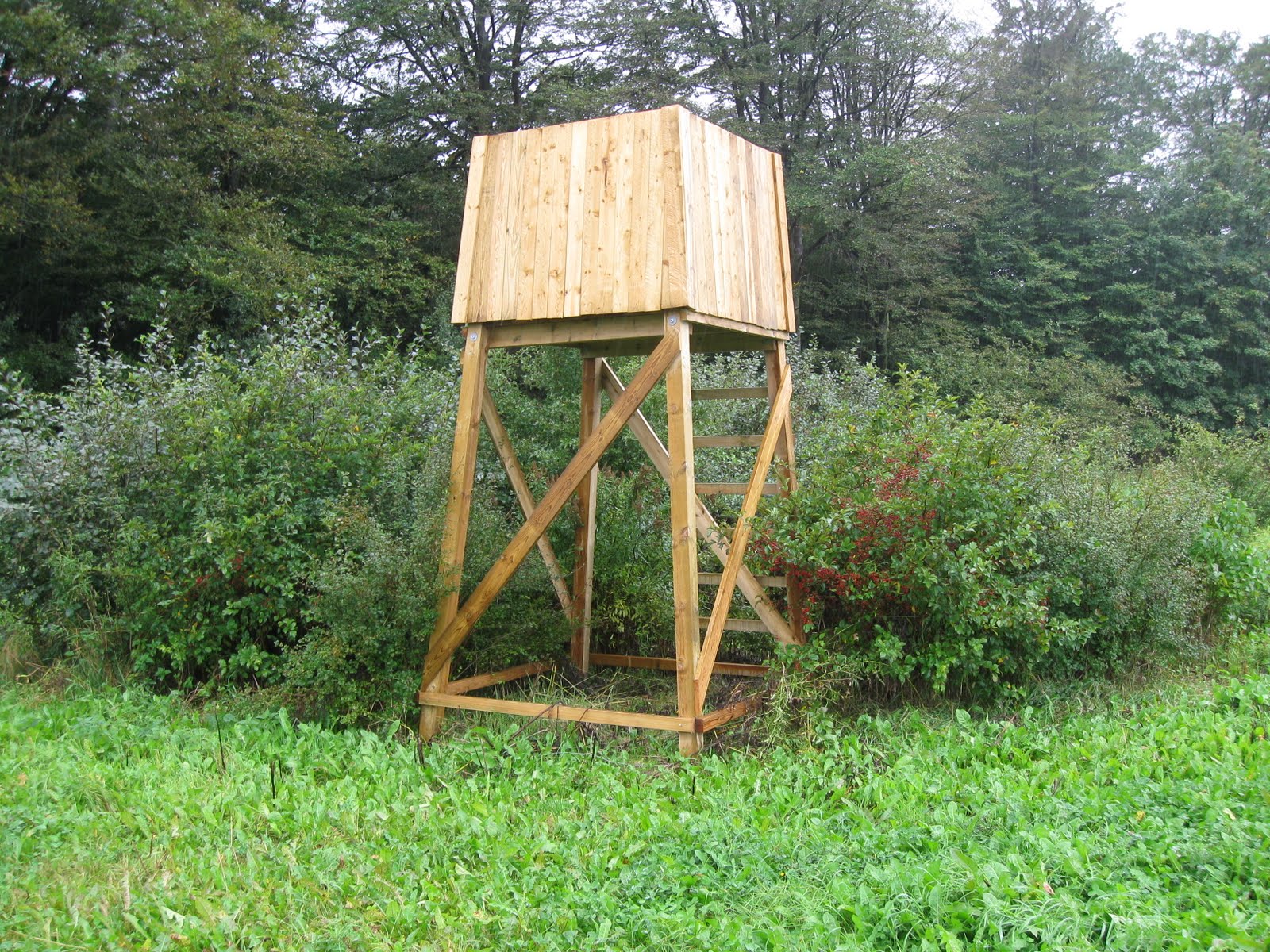 Overnatning tæt på Vejen i Sønderjylland: Jagt tårn som udkigstårn