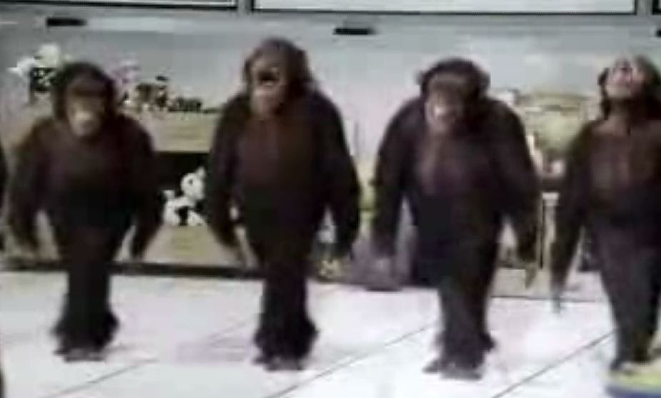 nevertheless: River Dancing Chimps