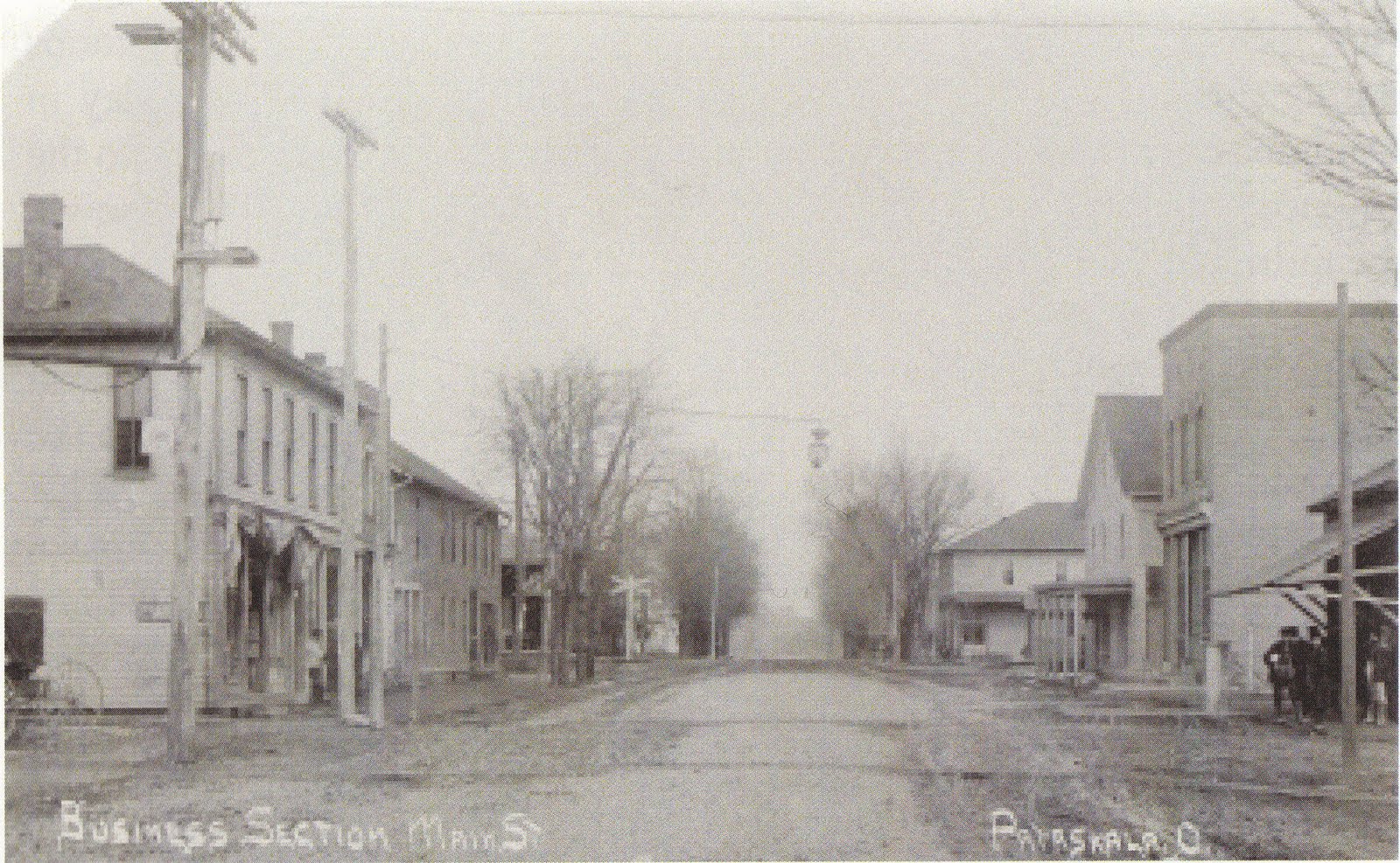 Eleanor Youmans: A Celebrity Cat