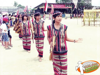 Arileksana Blog: tari gantar-(SENI TARI DAYAK)