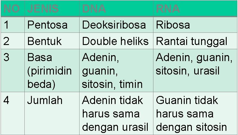 dr. Suparyanto, M.Kes: METABOLISME PURIN DAN PIRIMIDIN