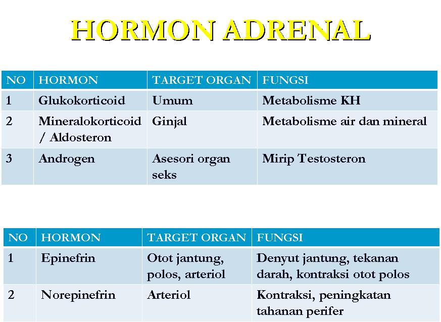 dr. Suparyanto, M.Kes: HORMON